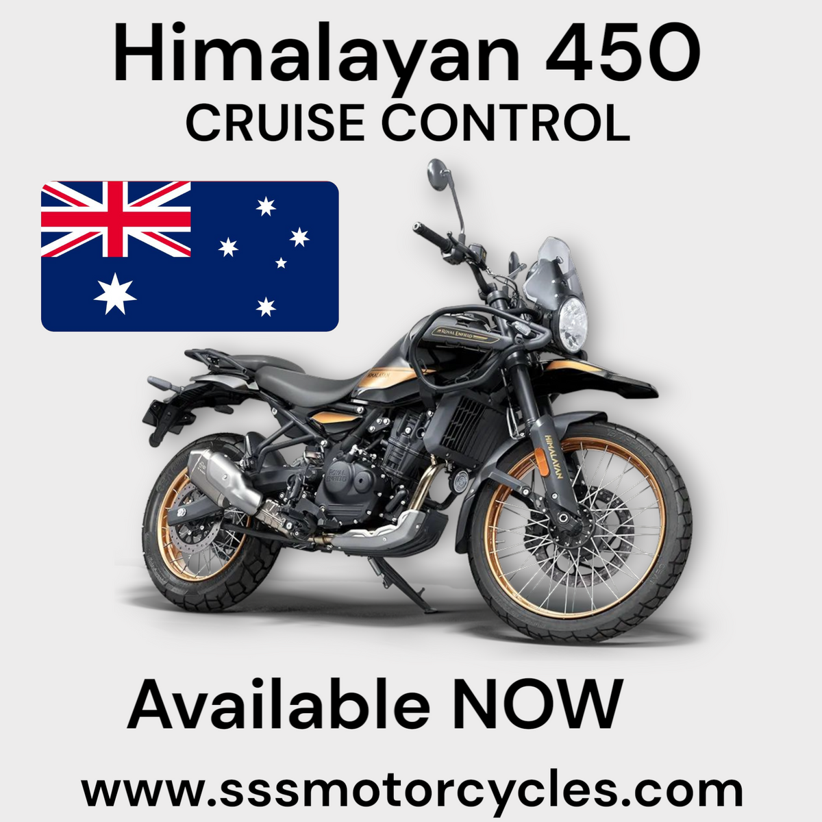 Royal Enfield Himalayan 450 Veridian Cruise Control| SSS Motorcycles
